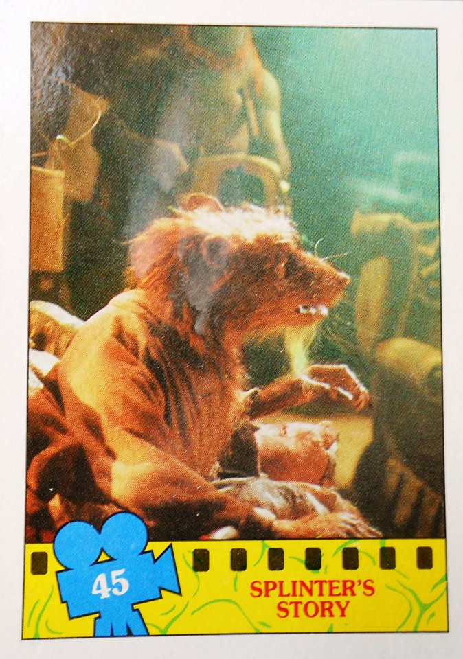 TMNT 45 | It's A Stampede!