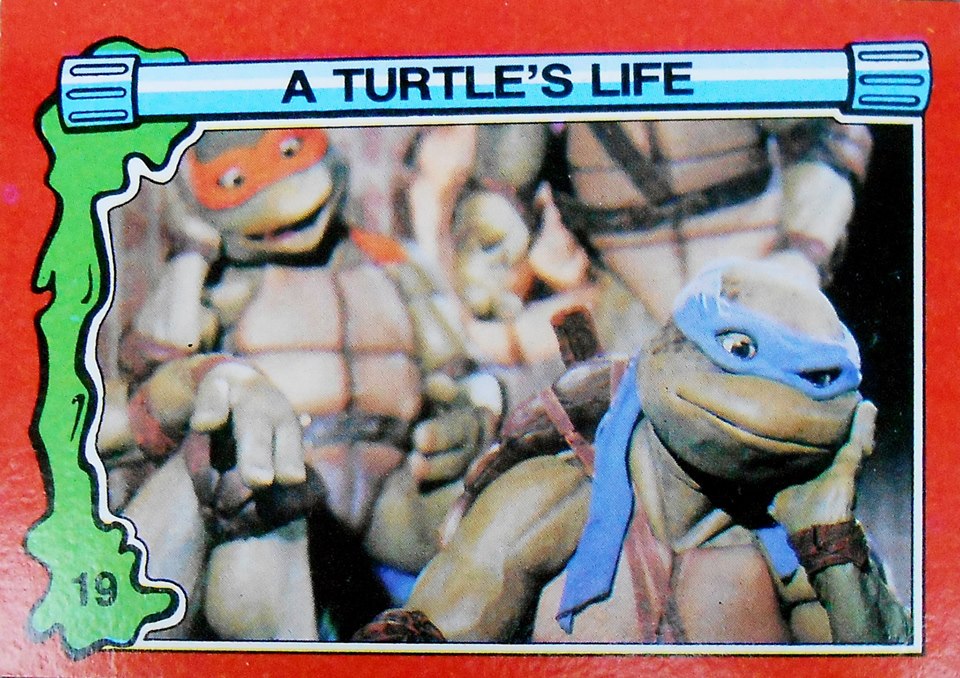 TMNT 19 | It's A Stampede!
