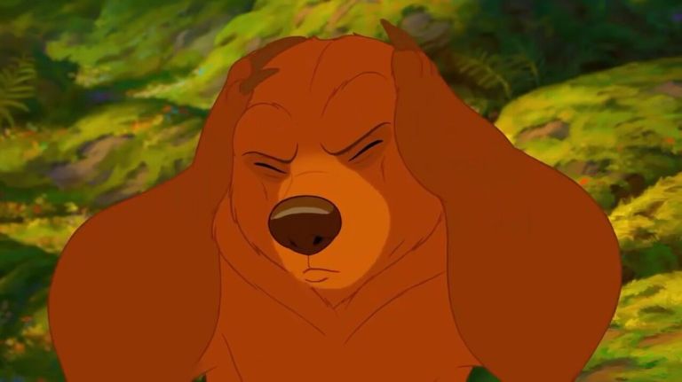 55 children’s movies featuring animals | It's A Stampede!