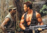 Best Predator (1987) movie quotes | It's A Stampede!