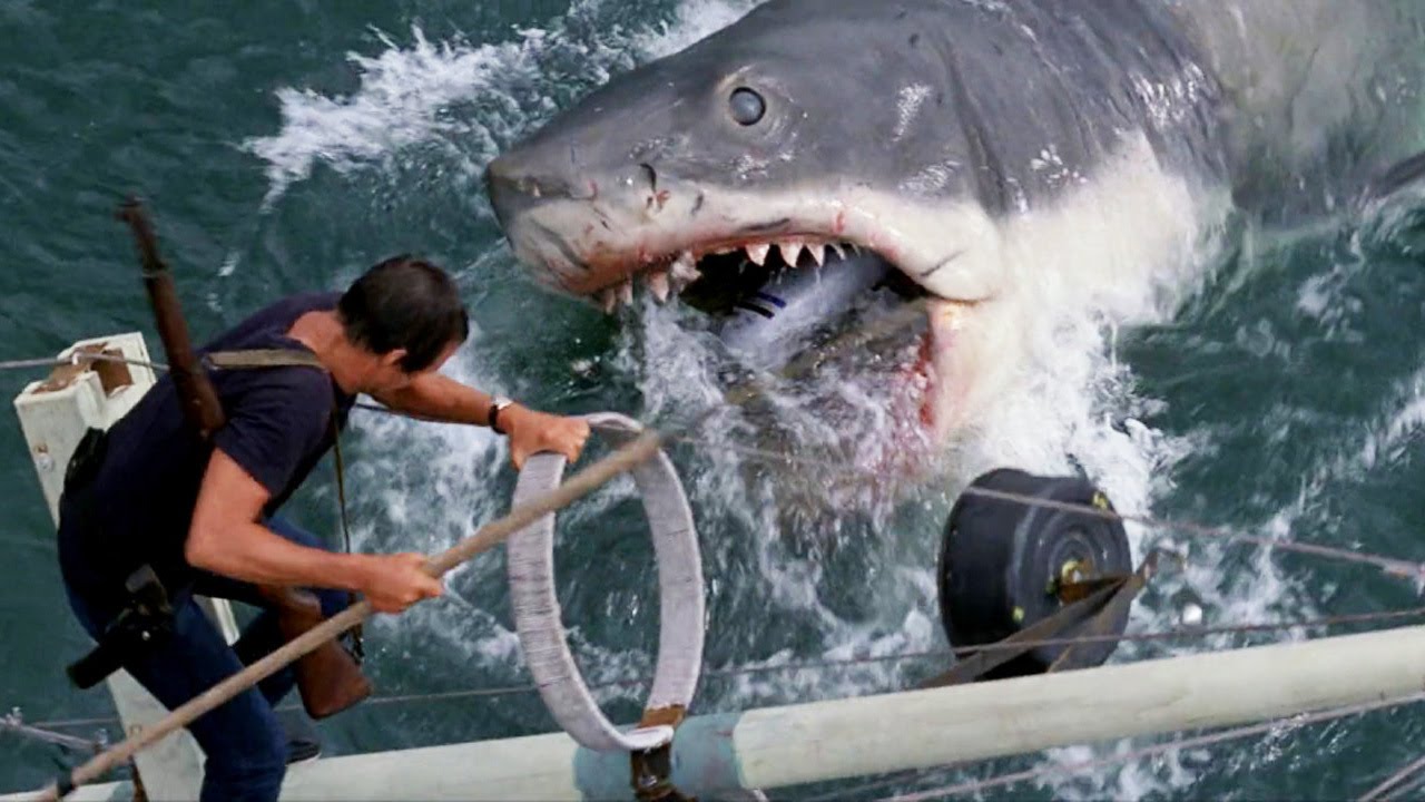Best Jaws (1975) movie quotes | It's A Stampede!