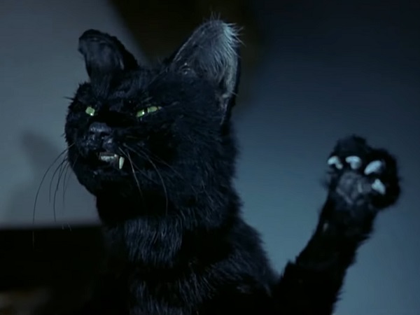 How many Scary Movie movies are there? | It's A Stampede!