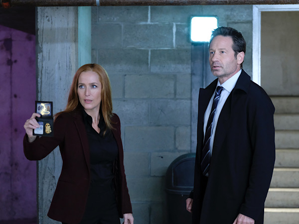 How does The X-Files end? | It's A Stampede!