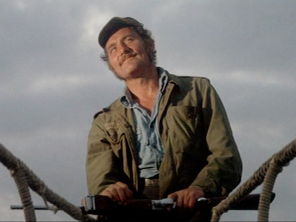 FAQs about Jaws (1975) | It's A Stampede!