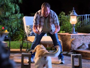 How many ‘Dog Who Saved’ movies are there? | It's A Stampede!
