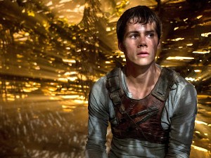 What is the order of the Maze Runner movies? | It's A Stampede!
