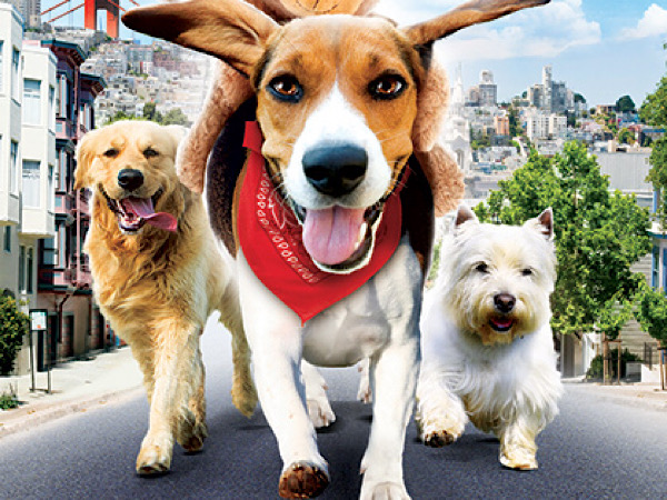 How many Dean Cain dog movies are there? | It's A Stampede!