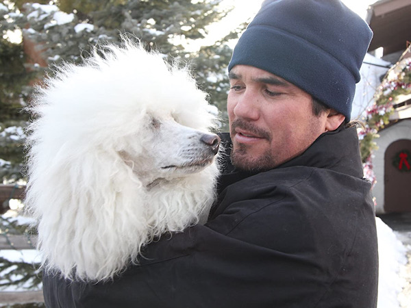 How many Dean Cain dog movies are there? | It's A Stampede!