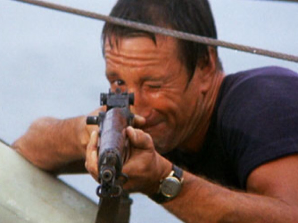 FAQs about Jaws (1975) | It's A Stampede!