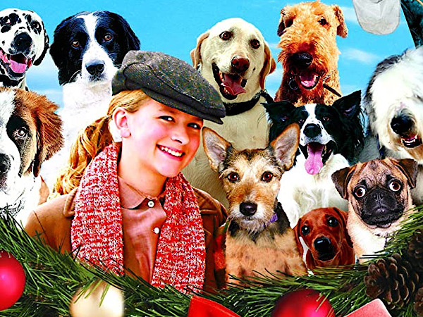 How many 12 Dogs of Christmas movies are there? | It's A Stampede!