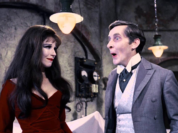 How many Carry On films are there? | It's A Stampede!