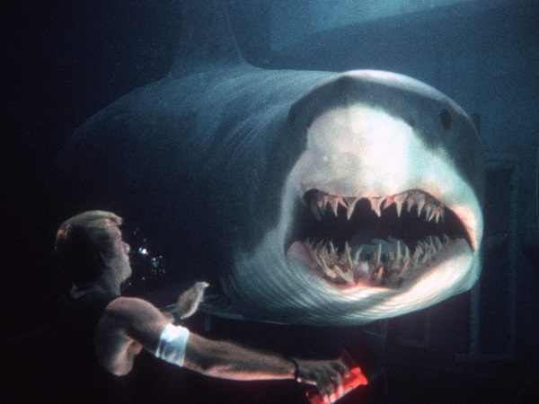 How many Deep Blue Sea movies are there? | It's A Stampede!