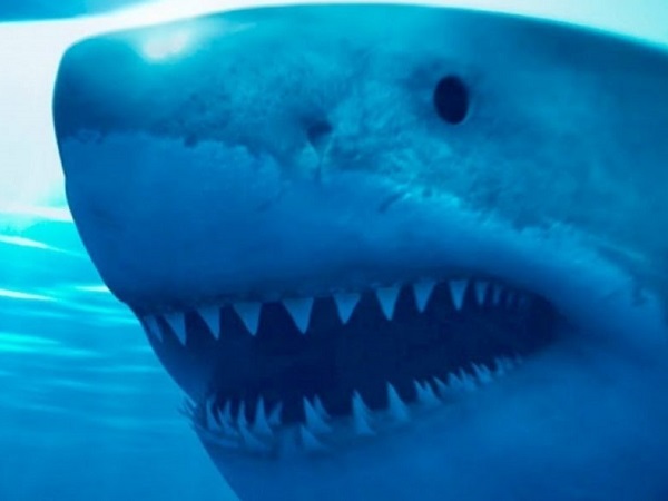 How many Deep Blue Sea movies are there? | It's A Stampede!