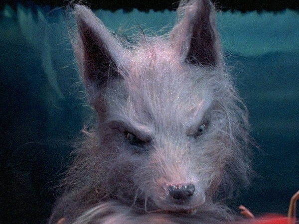 How many The Howling movies are there? | It's A Stampede!