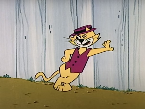 Top Cat: Over 20 questions and answers | It's A Stampede!