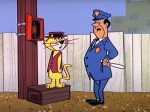 Top Cat: Over 20 questions and answers | It's A Stampede!