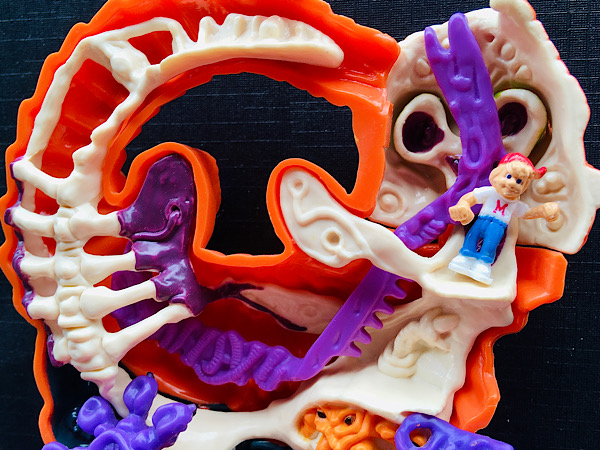 Mighty Max: Lashes the Lizard | It's A Stampede!