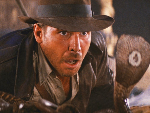Best Indiana Jones movie quotes | It's A Stampede!