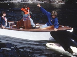 How many Free Willy movies are there? | It's A Stampede!