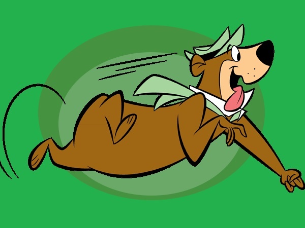Yogi Bear: Over 20 questions and answers | It's A Stampede!
