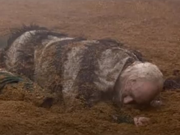 14 things to know about Krull | It's A Stampede!