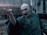 Best Voldemort Harry Potter movie quotes | It's A Stampede!