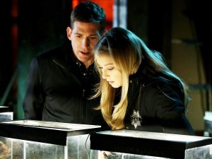 How to watch the CSI shows in order | It's A Stampede!