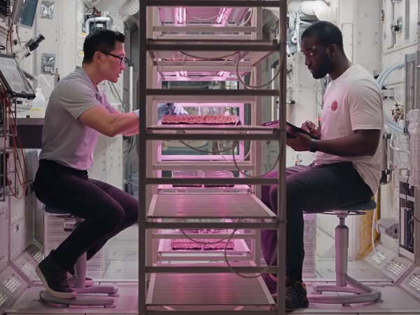 Review: Stowaway (2021) | It's A Stampede!