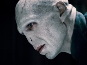 Best Voldemort Harry Potter movie quotes | It's A Stampede!