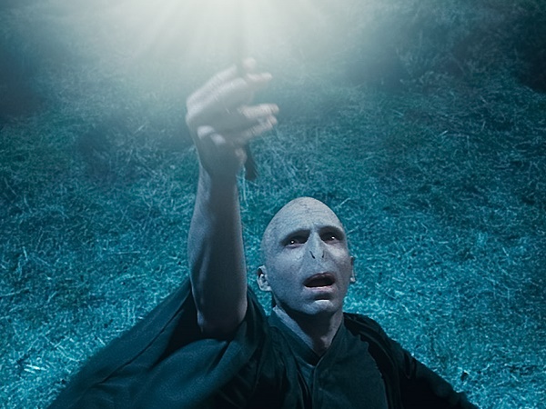 Best Voldemort Harry Potter movie quotes | It's A Stampede!