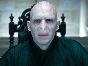 Best Voldemort Harry Potter movie quotes | It's A Stampede!