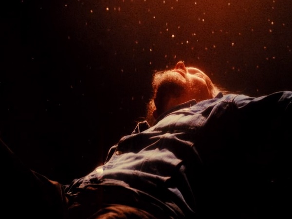 Review: Fried Barry | It's A Stampede!