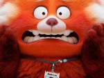 What is the order of the Disney Pixar movies? | It's A Stampede!