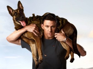 Channing Tatum movies in order | It's A Stampede!