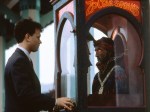 Tom Hanks movies in order | It's A Stampede!