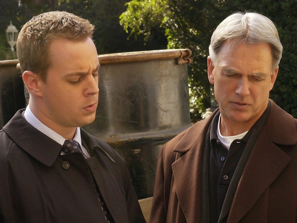 How to watch all the NCIS shows in order | It's A Stampede!