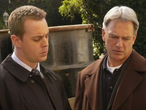 How to watch all the NCIS shows in order | It's A Stampede!