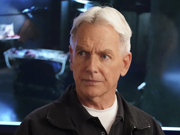 How to watch all the NCIS shows in order | It's A Stampede!