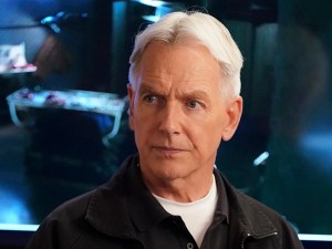 How to watch all the NCIS shows in order | It's A Stampede!