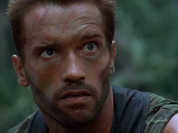 Best Predator (1987) movie quotes | It's A Stampede!