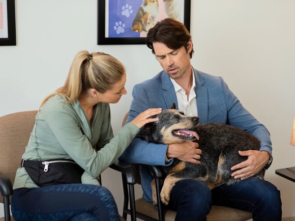 What is Hallmark’s The Dog Lover’s Guide to Dating? | It's A Stampede!