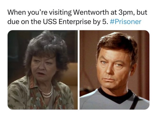 Having fun with Prisoner Cell Block H memes | It's A Stampede!