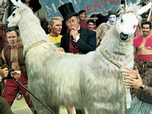 How many Dr. Dolittle movies are there? | It's A Stampede!