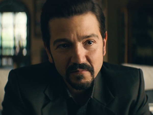 How to watch the Narcos shows in order | It's A Stampede!