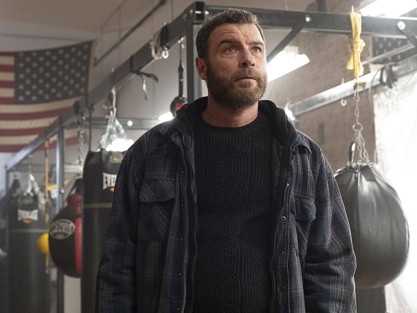 How to watch Ray Donovan in order | It's A Stampede!