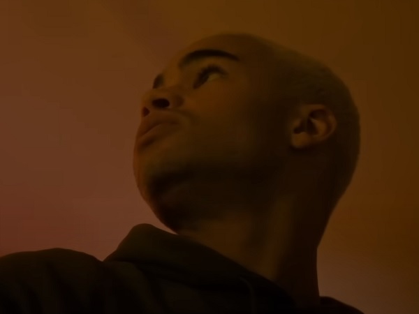 Review: Infested | It's A Stampede!