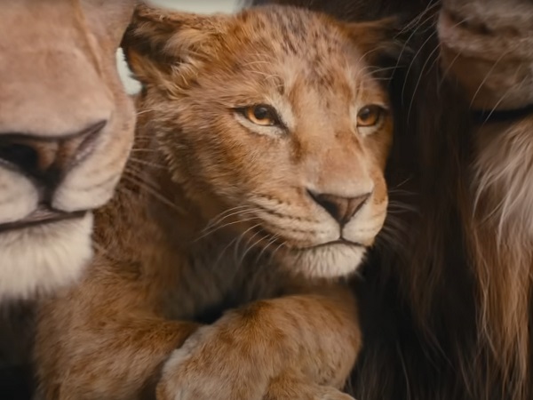 Review: Mufasa: The Lion King (2024) | It's A Stampede!