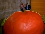 The Killer Tomatoes movies in order | It's A Stampede!